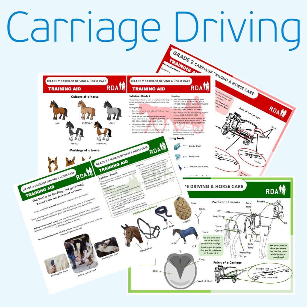 TAKE PART (at home!) - Riding for the Disabled Association (RDA)