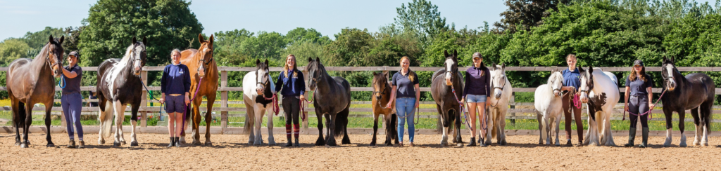 Our Horses - Riding for the Disabled Association (RDA)