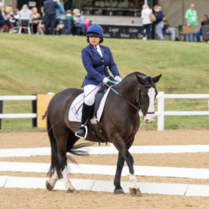 About Us - Riding for the Disabled Association (RDA)