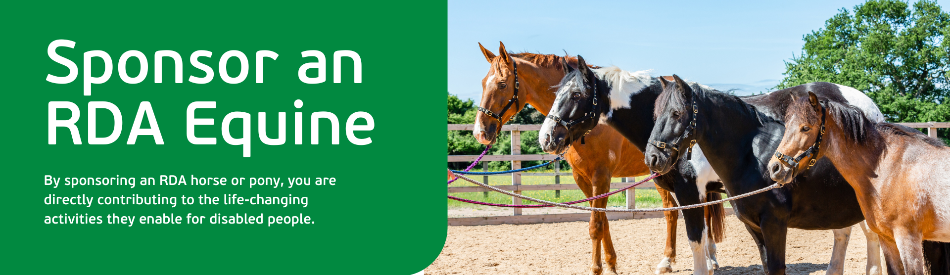 Sponsor an RDA UK Equine - Riding for the Disabled Association (RDA)