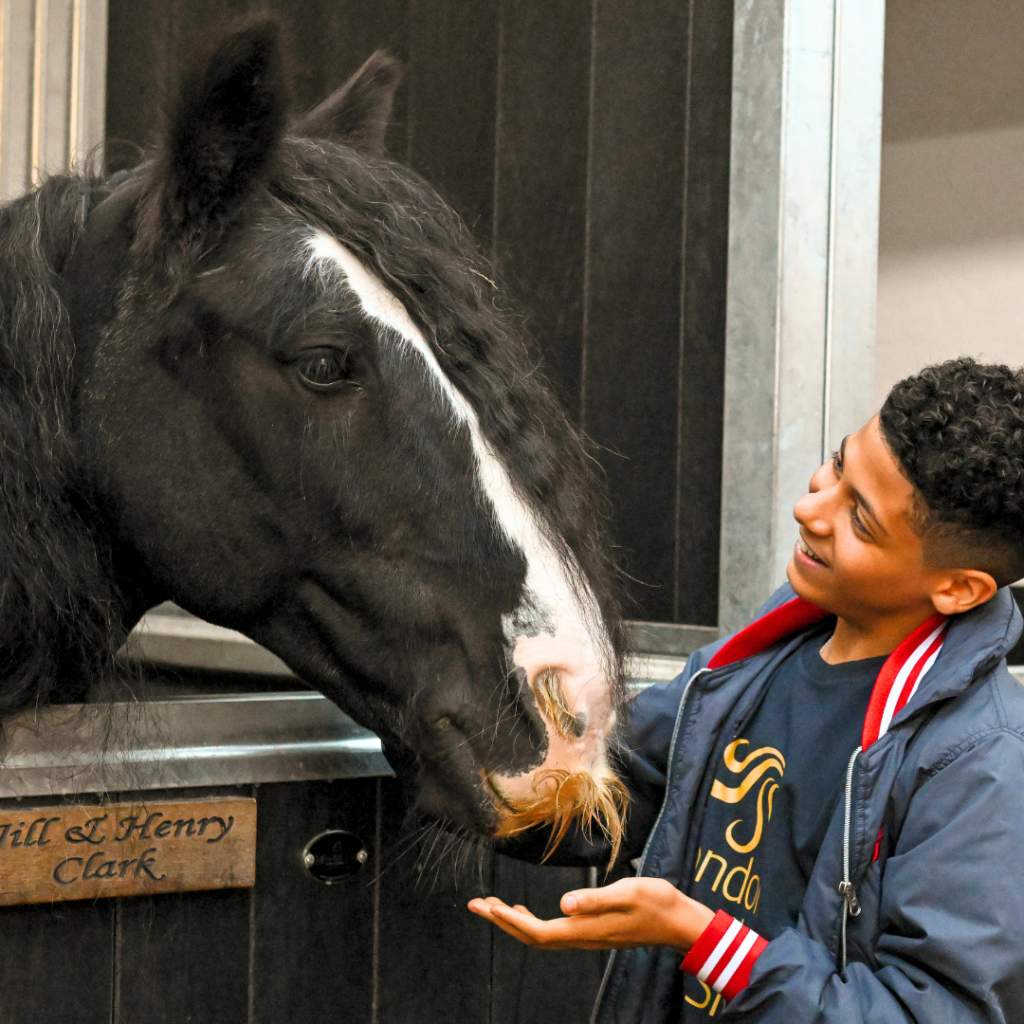 Volunteer - Riding for the Disabled Association (RDA)