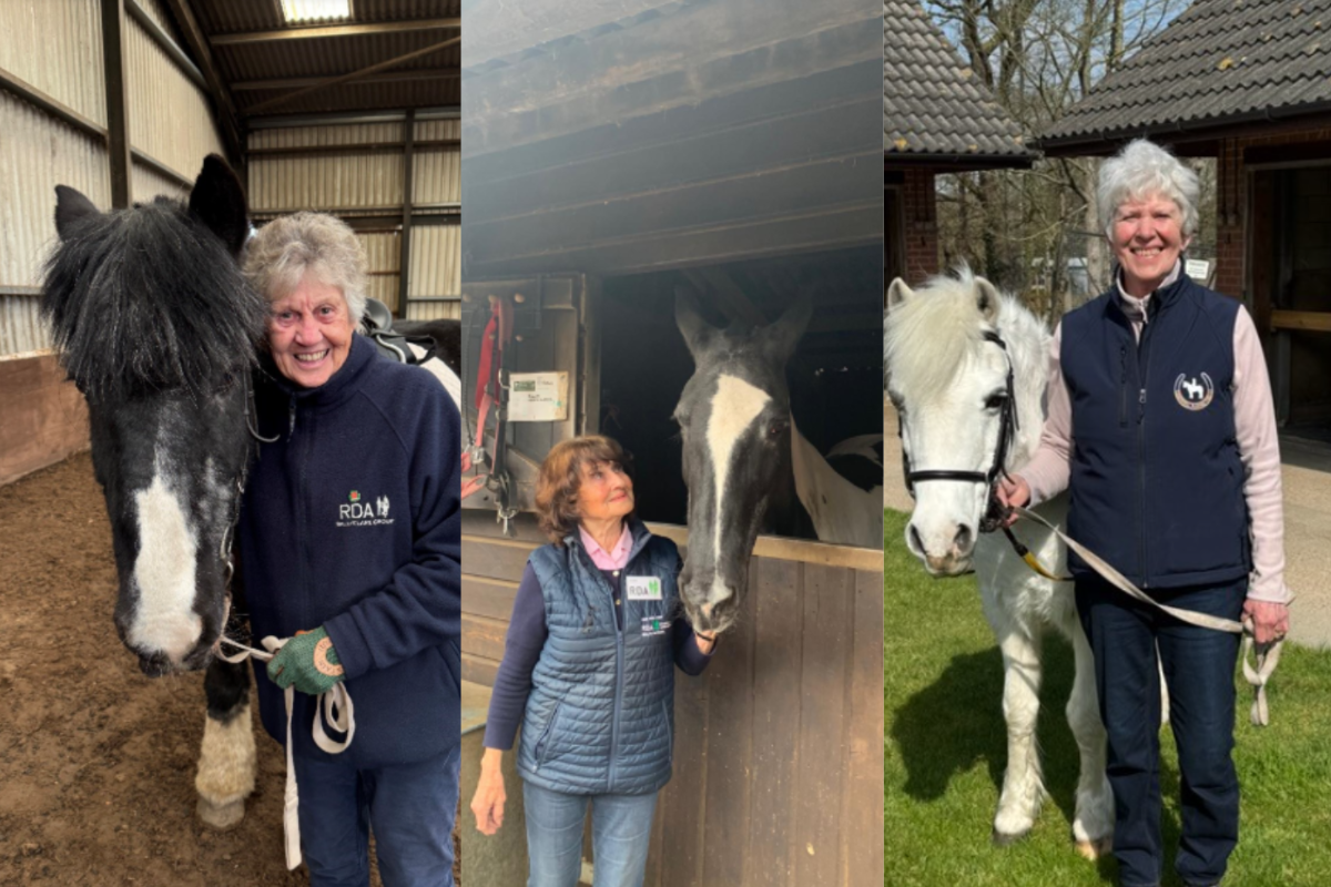 Volunteers presented with one of the most prestigious RDA awards ...